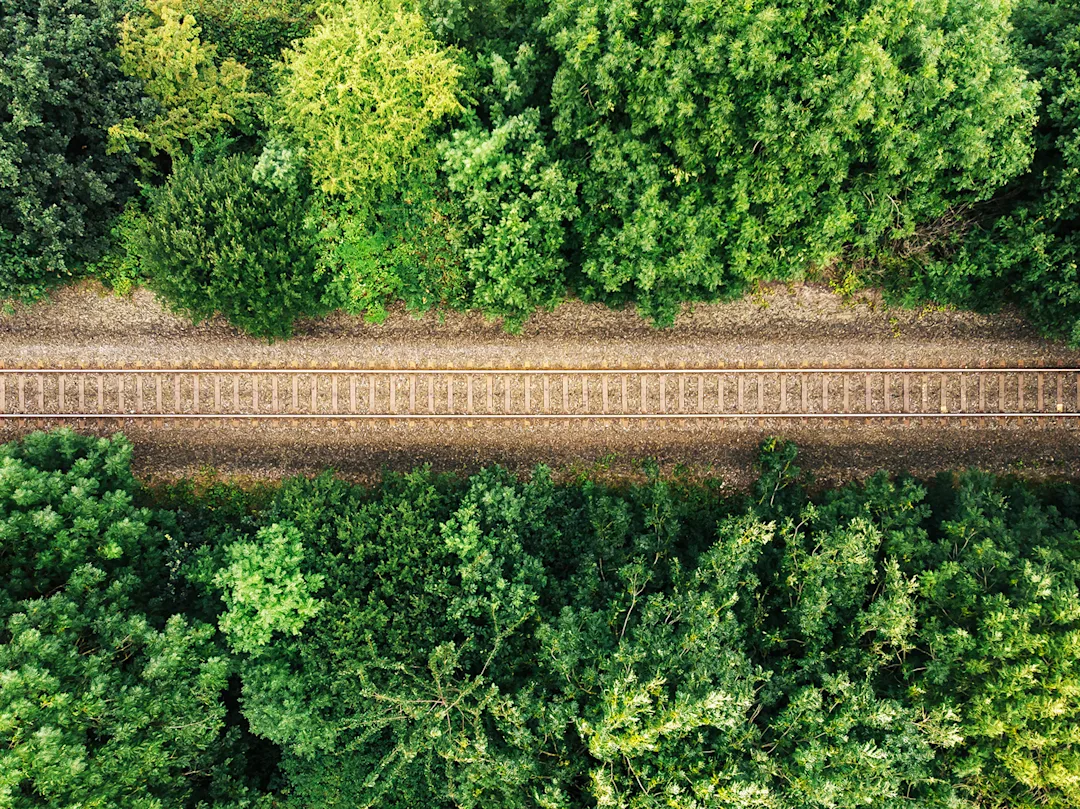 Green Train Travel | National Rail