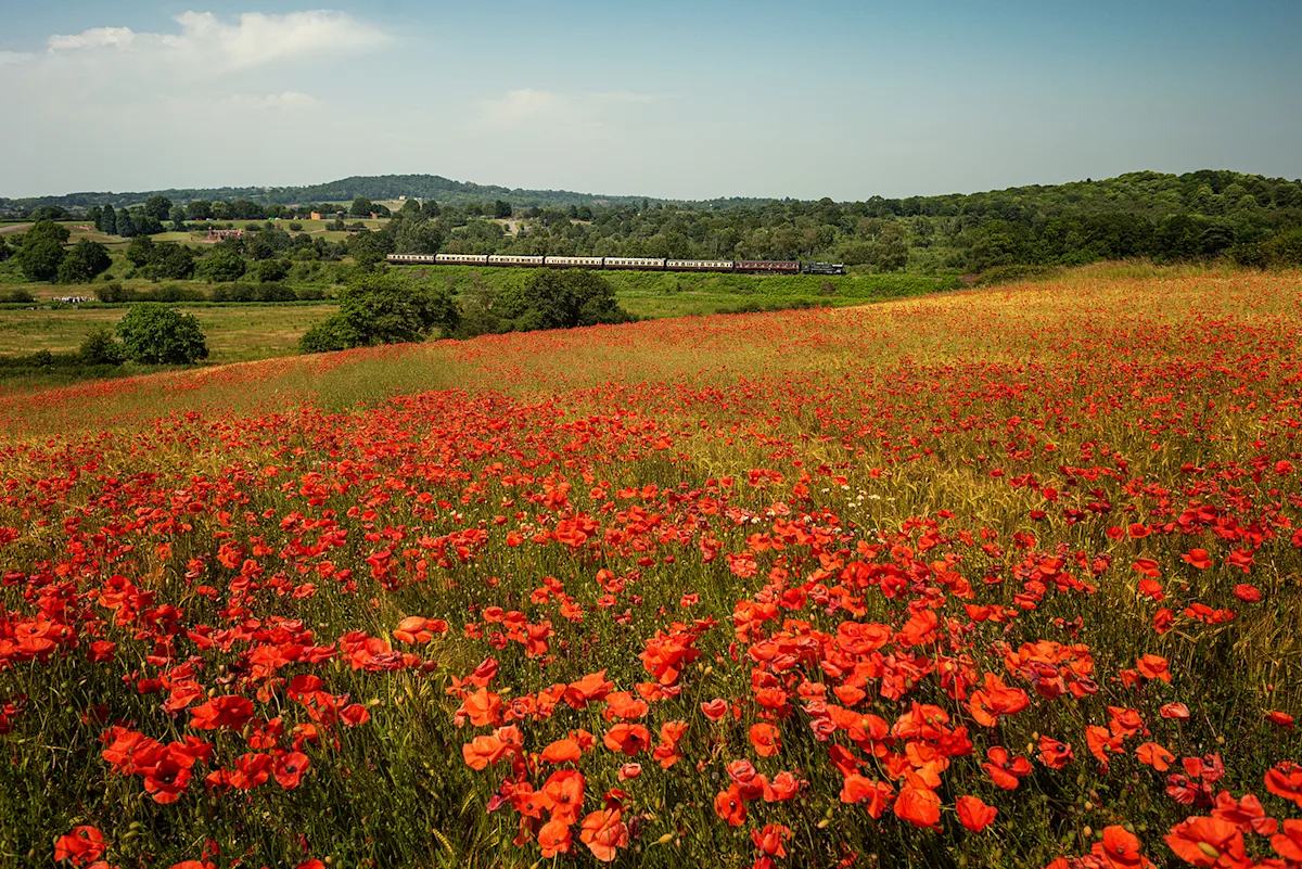 Green Train Travel | National Rail