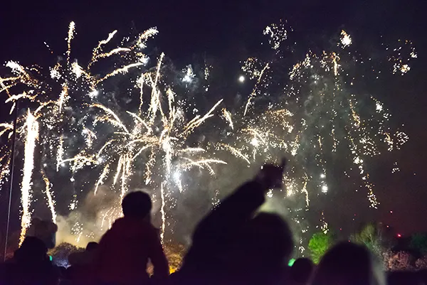 Amazing Fireworks Displays this Autumn | National Rail
