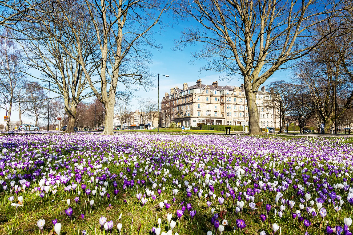 Trains From Leeds to Harrogate | National Rail