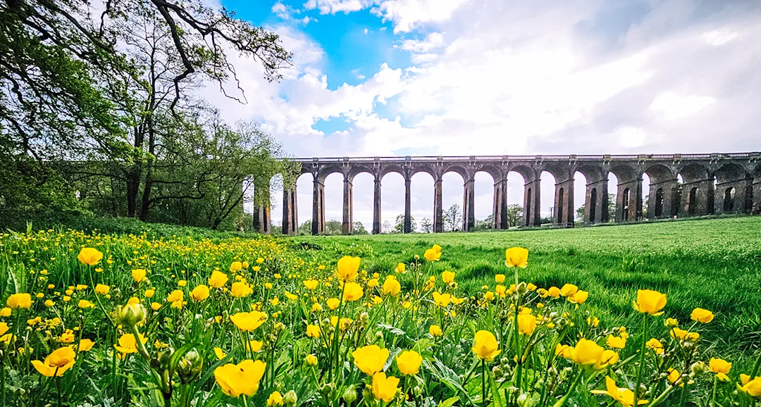 The official source for trains in Great Britain | National Rail