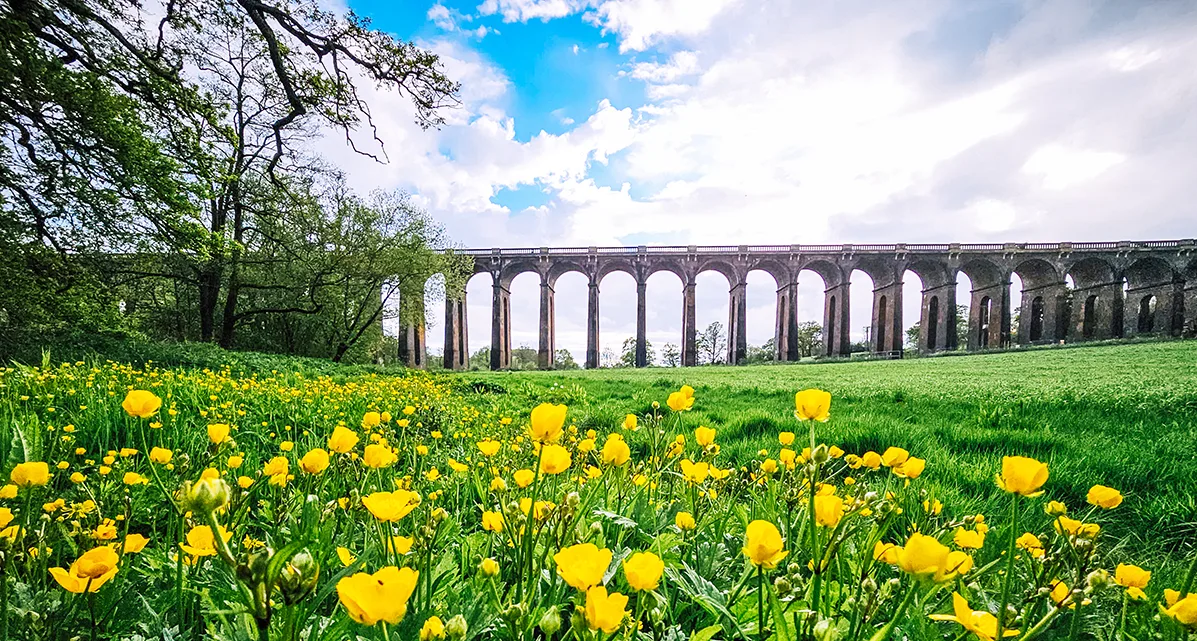 The official source for trains in Great Britain | National Rail