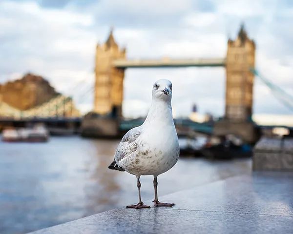 Railcards | National Rail