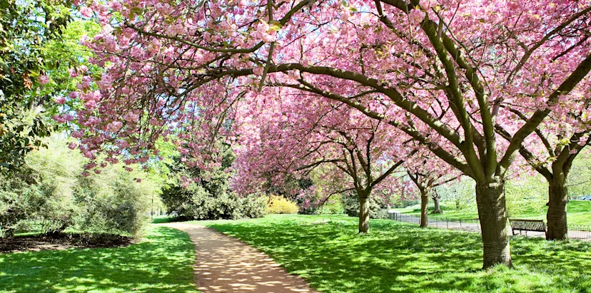 May Bank Holidays | National Rail