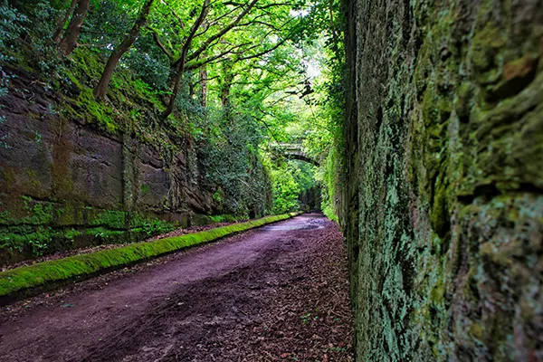 From Rails to Trails | National Rail